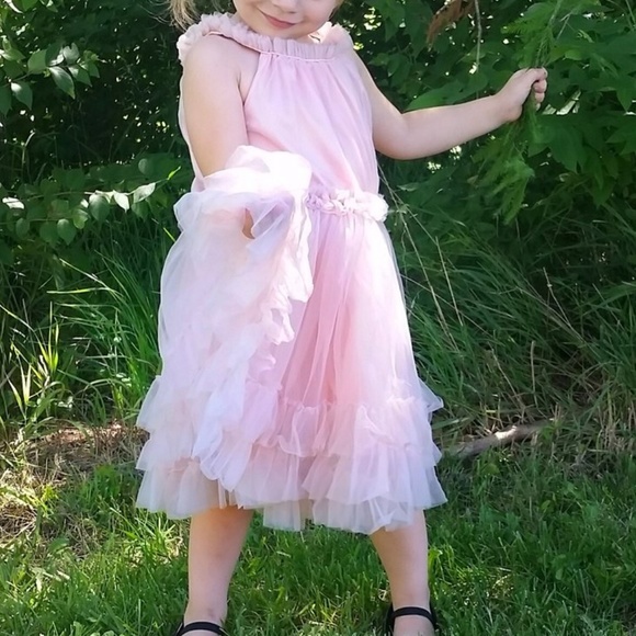 Dresses | Nwt Girls Pink Mauve Pretty Tulle Dress Gown | Poshmark